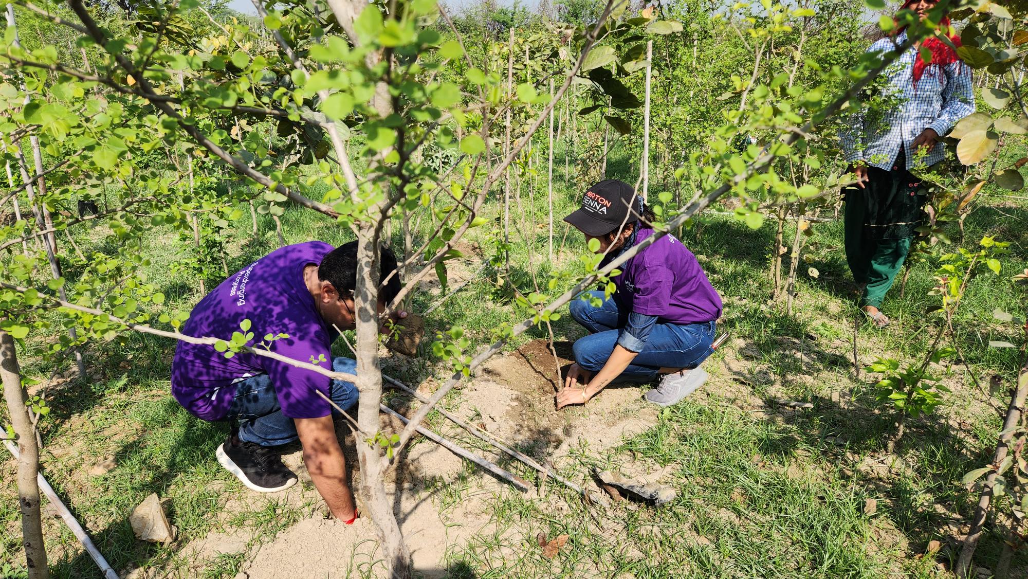 Resources | HCLTech Americas Grant